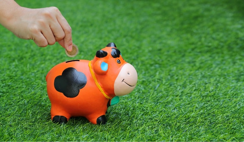 Blog - Square Cow Moovers
